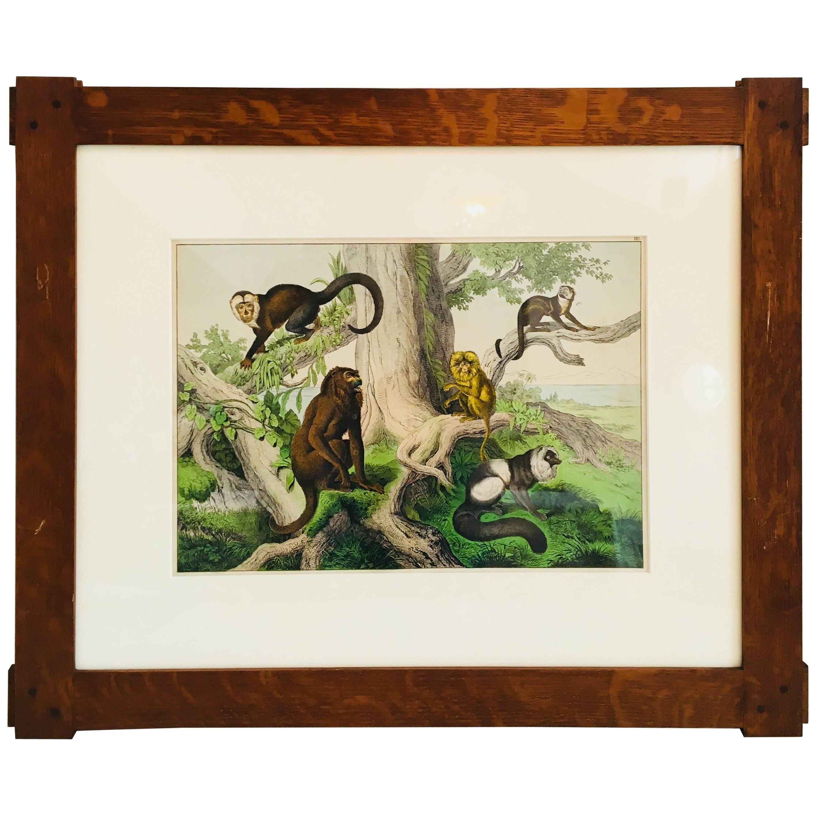 Antique Framed Prints - 36 For Sale on 1stDibs