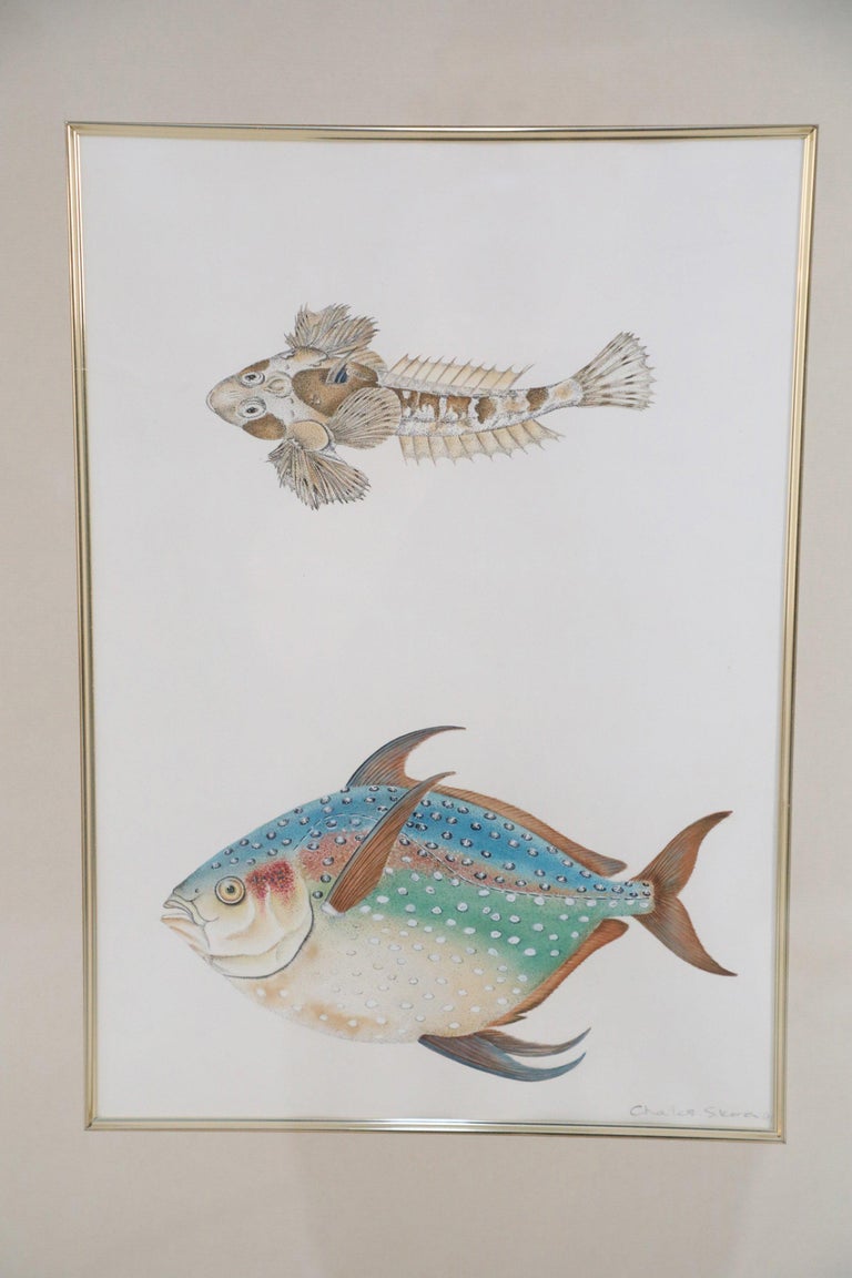 Framed Color Lithograph of Brown and Multi-Colored Tropical Fish For ...