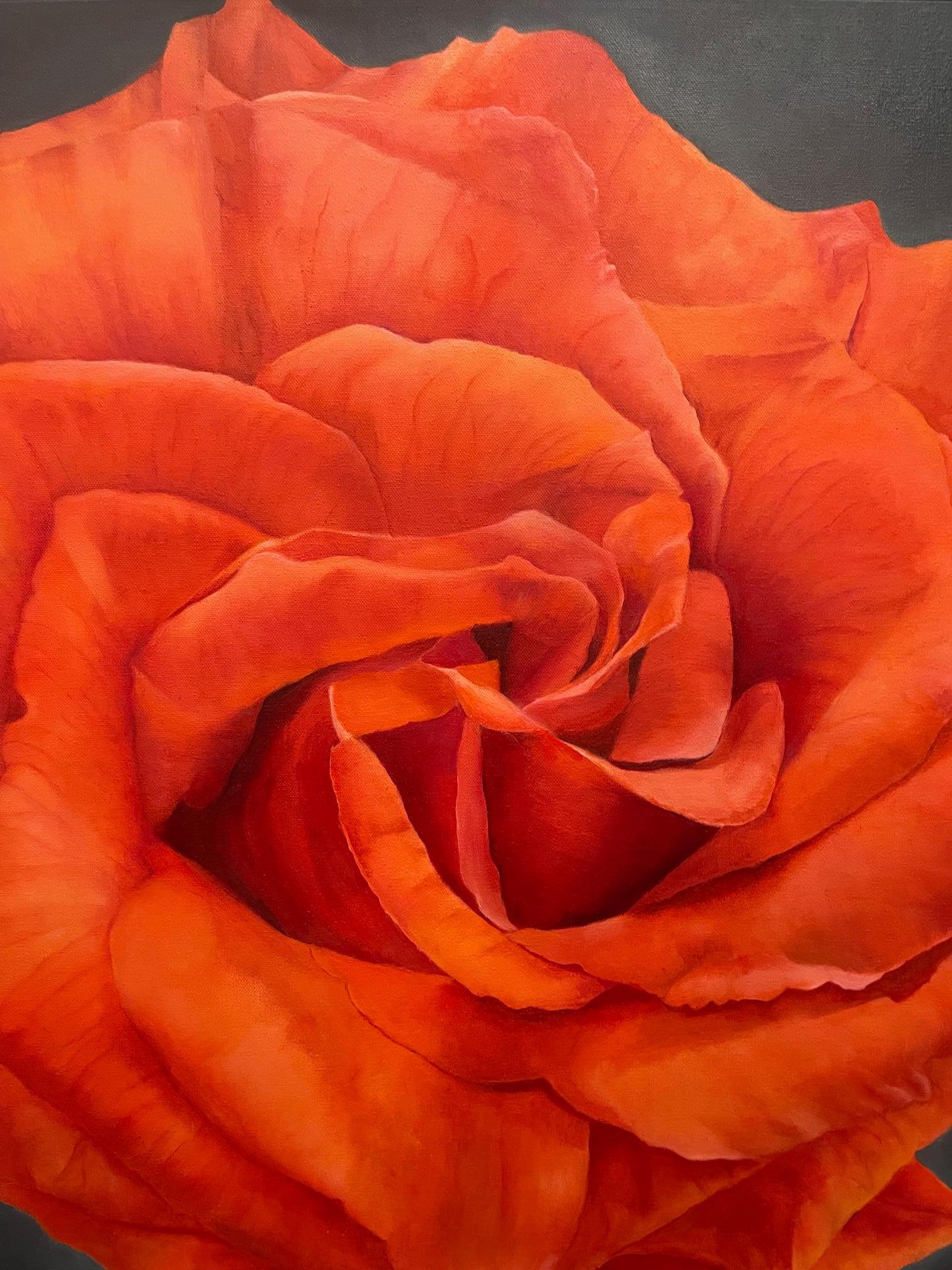 Framed Oil on Canvas "Corinna" - Salmon Color Rose by Shelly Gurton For ...