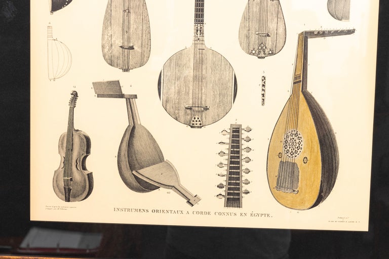 Framed Print Antique Musical Instruments of Egypt For Sale at 1stDibs