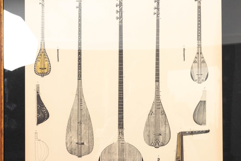 Framed Print Antique Musical Instruments of Egypt For Sale at 1stDibs