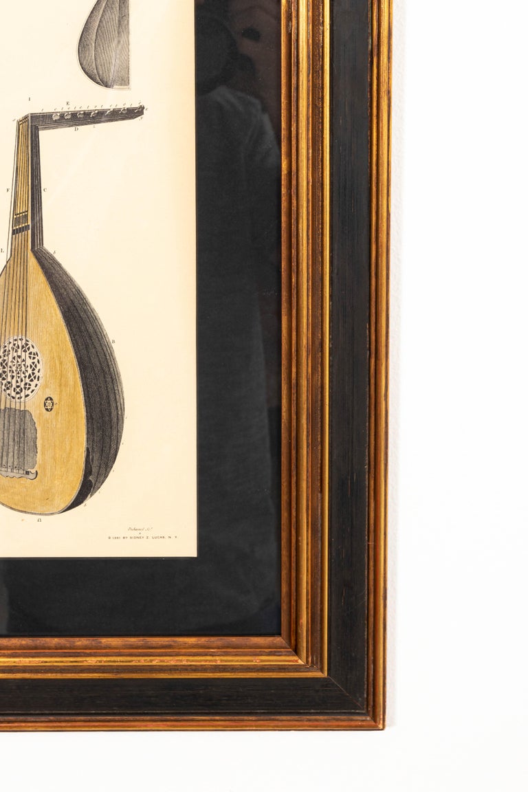 Framed Print Antique Musical Instruments of Egypt For Sale at 1stDibs