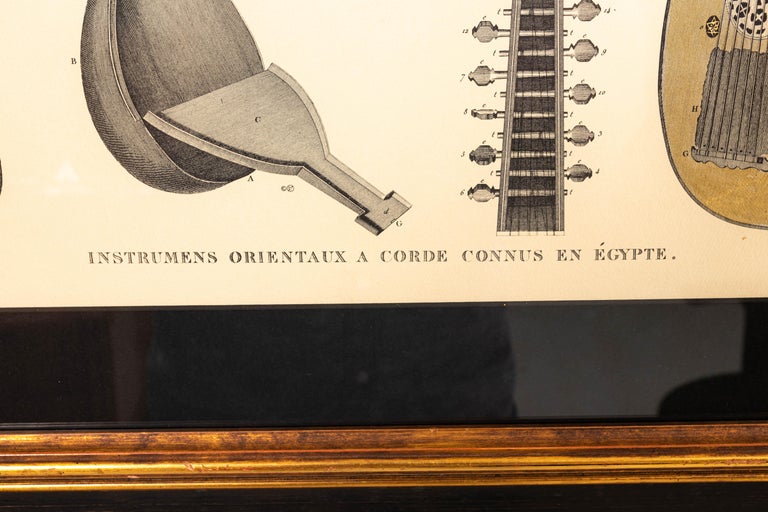 Framed Print Antique Musical Instruments of Egypt For Sale at 1stDibs