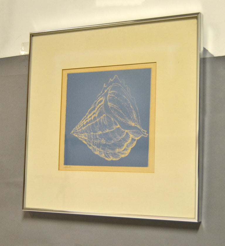 Framed Realism Blue and Beige Seashell Pencil Painting, Fine Art ...