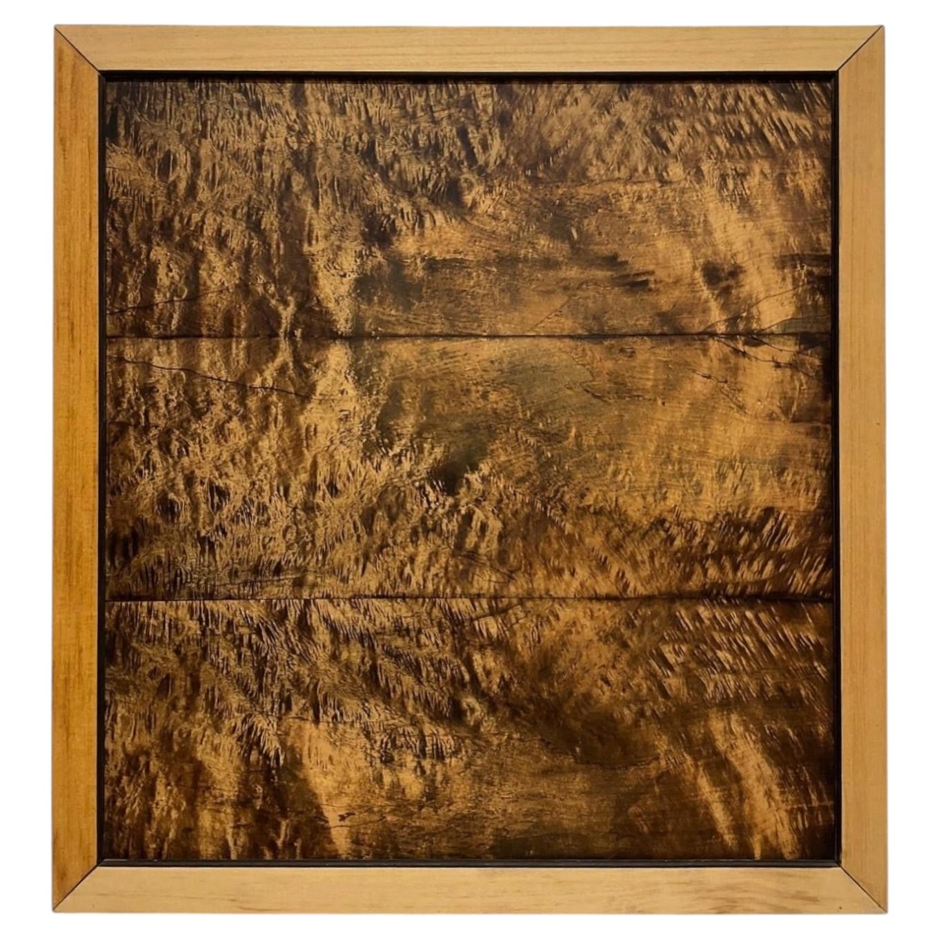 Framed Solid Burl Wood Panels from a Japanese Tsuitate, Meiji Period ...