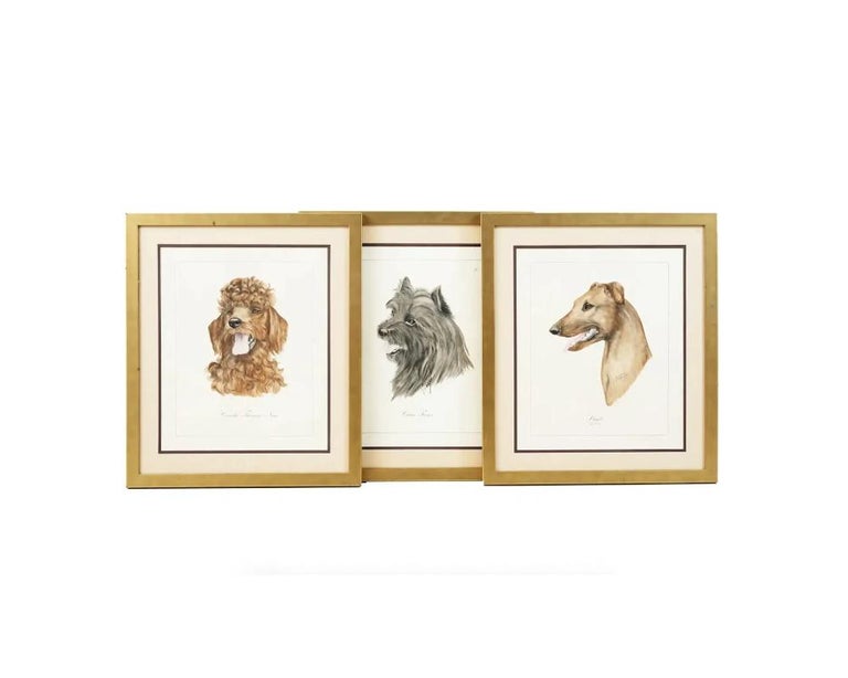 Framedantique Dog Lithographs By Gianni Reggio For Sale at 1stDibs