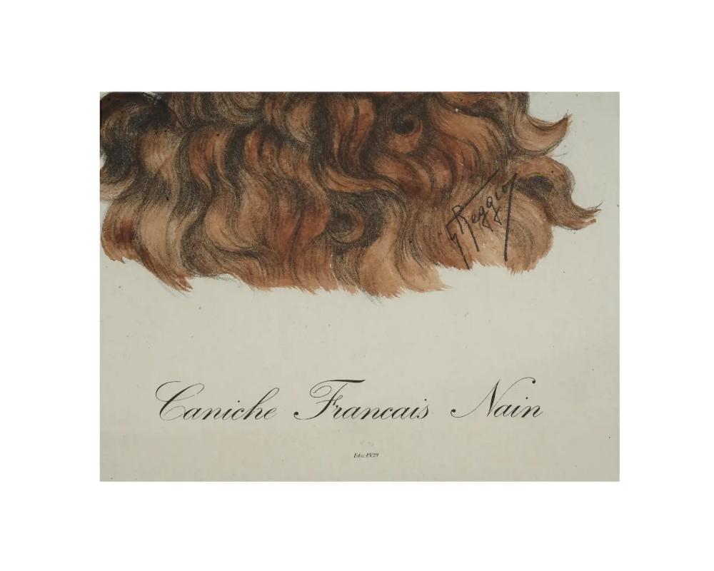 Framed Antique Dog Lithographs By Gianni Reggio For Sale at 1stDibs