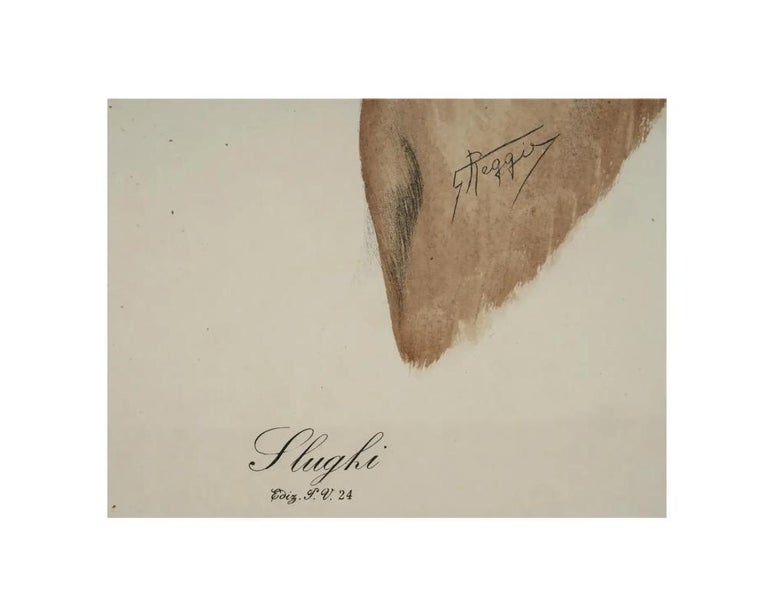 Framedantique Dog Lithographs By Gianni Reggio For Sale at 1stDibs