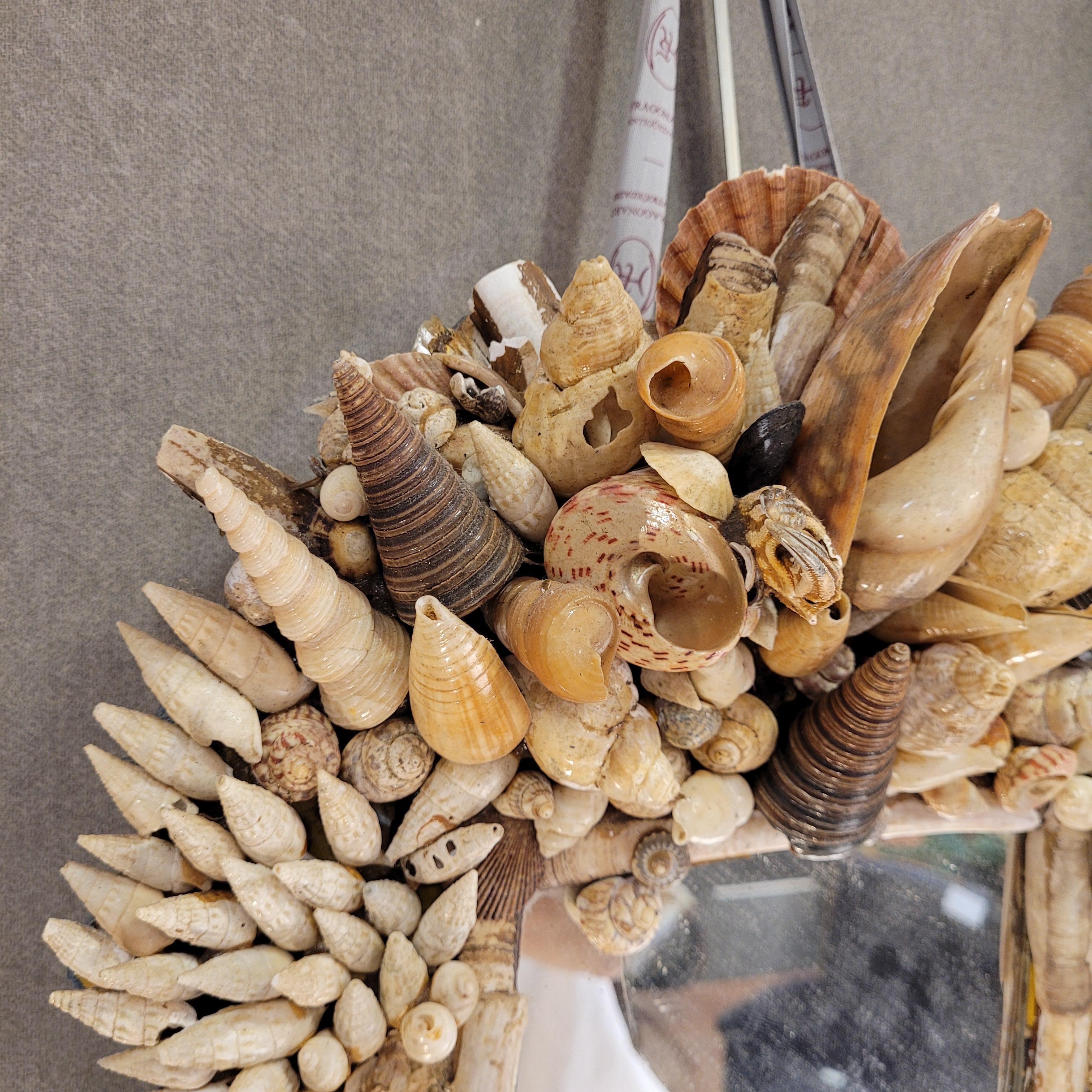 France 70s Wall Mirror “Shells and seashells” Seashell Art For Sale at ...