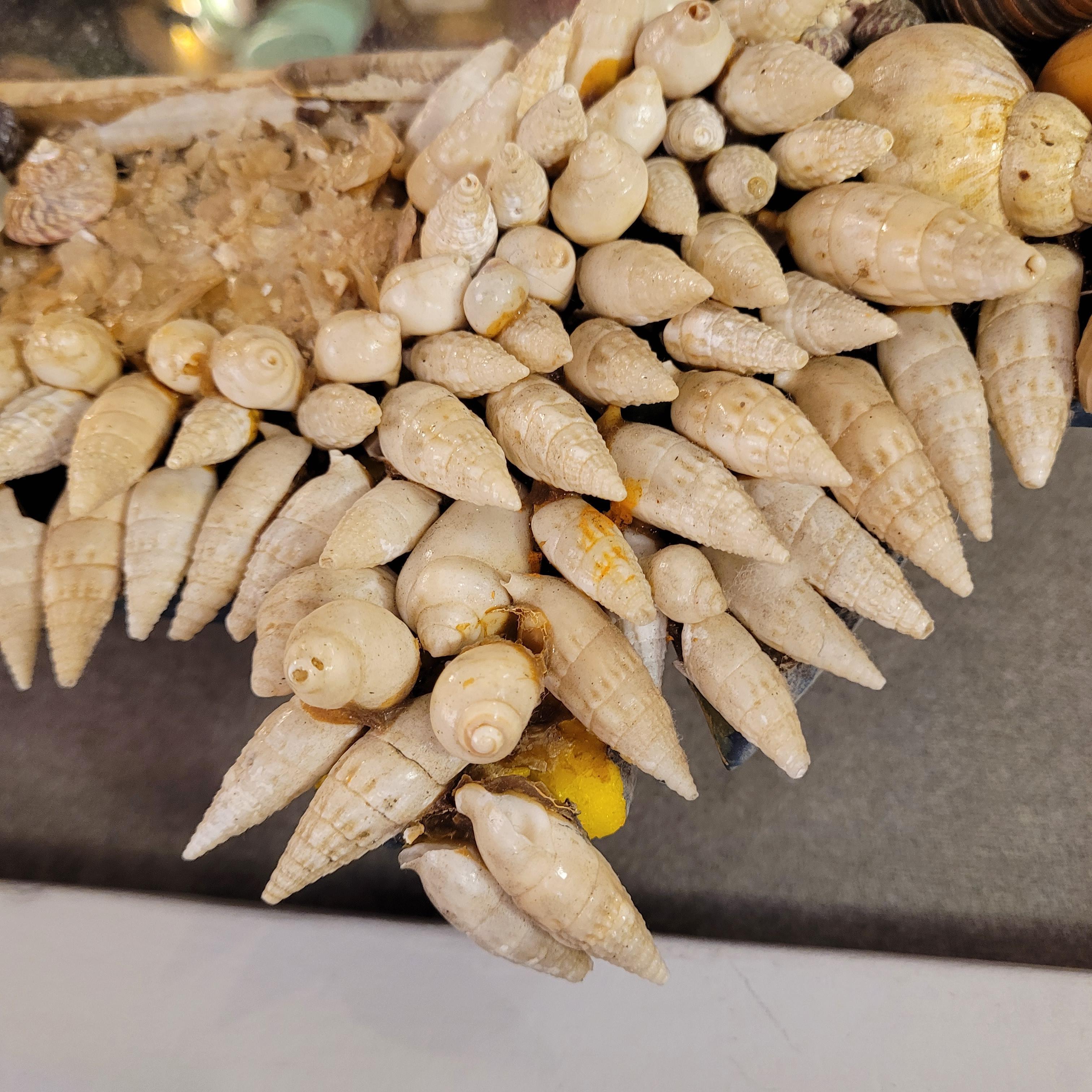 France 70s Wall Mirror “Shells and seashells” Seashell Art For Sale at ...