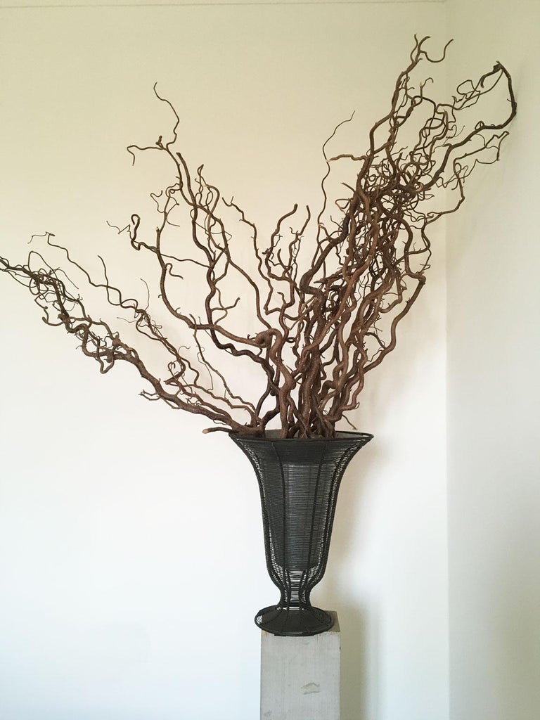 France, Iron Wire Minimalist Vase and Planter Bowl For Sale at 1stDibs ...