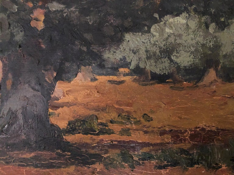 Francesc Poch Romeu - Olive field Mallorca Spain oil on canvas painting ...