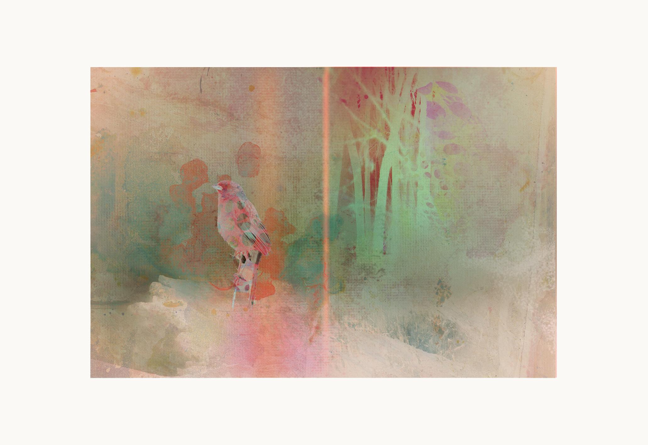 Tim Yanke - "Dragonfly" Signed, Limited Edition Holographic Print For ...