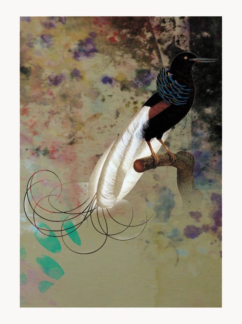 Francisco Nicolás Prints and Multiples - 534 For Sale at 1stDibs