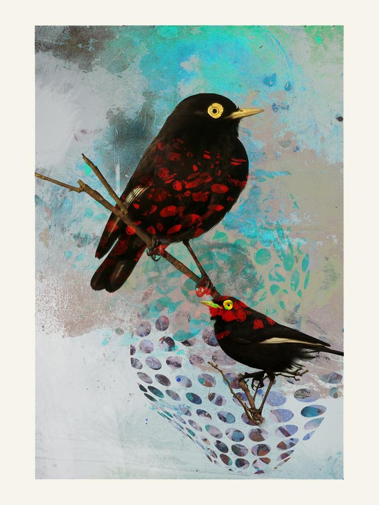 Francisco Nicolás - Birds 002 -Contemporary, Abstract, Modern, Pop art ...