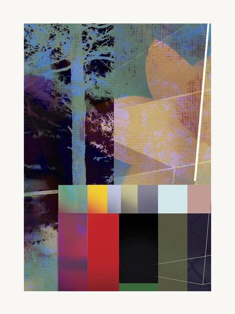 Francisco Nicolás - Color and forest-Contemporary, Abstract ...