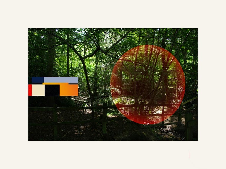 Francisco Nicolás - Forest - Contemporary, Abstract, Minimalism, Modern ...