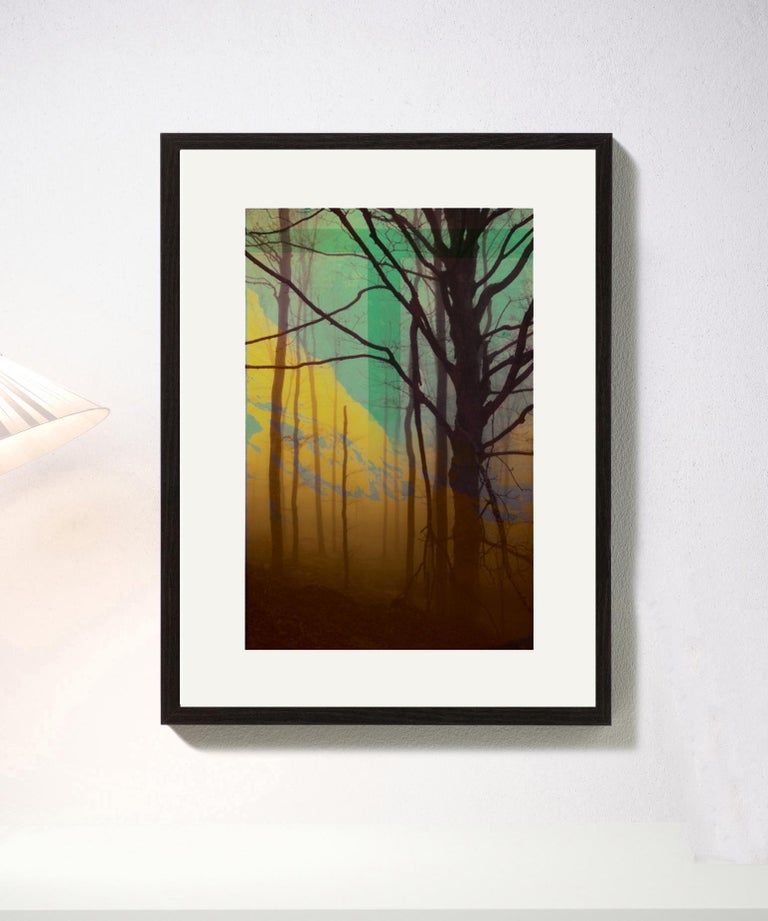 Francisco Nicolás - Forest XXII - Contemporary, Abstract, Modern, Pop ...