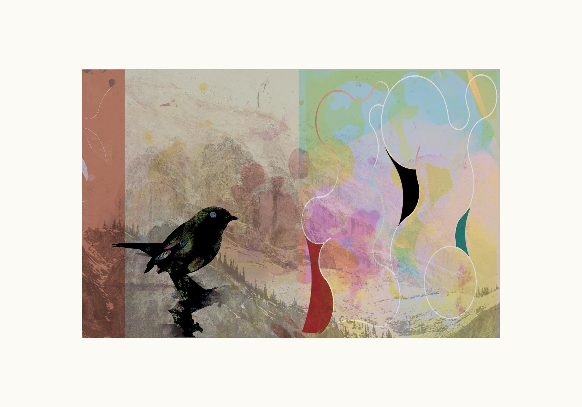 Diane Burko - Elegy for Quelccaya Glacier, Peru, limited edition art ...