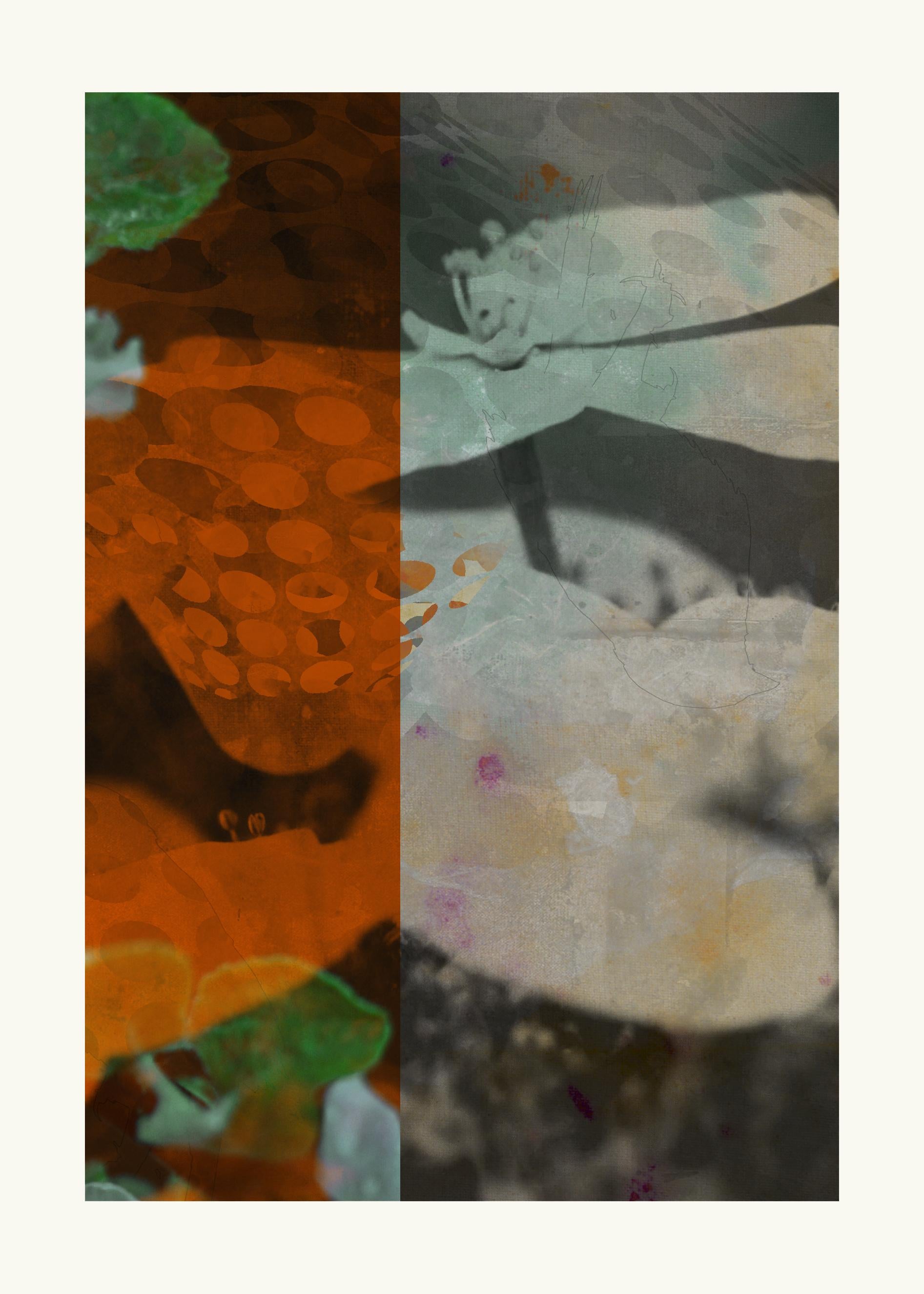 Edyta Grzyb - "FAKE IMAGINATION" Print 31' x 24' inch Edition 5/35 by ...