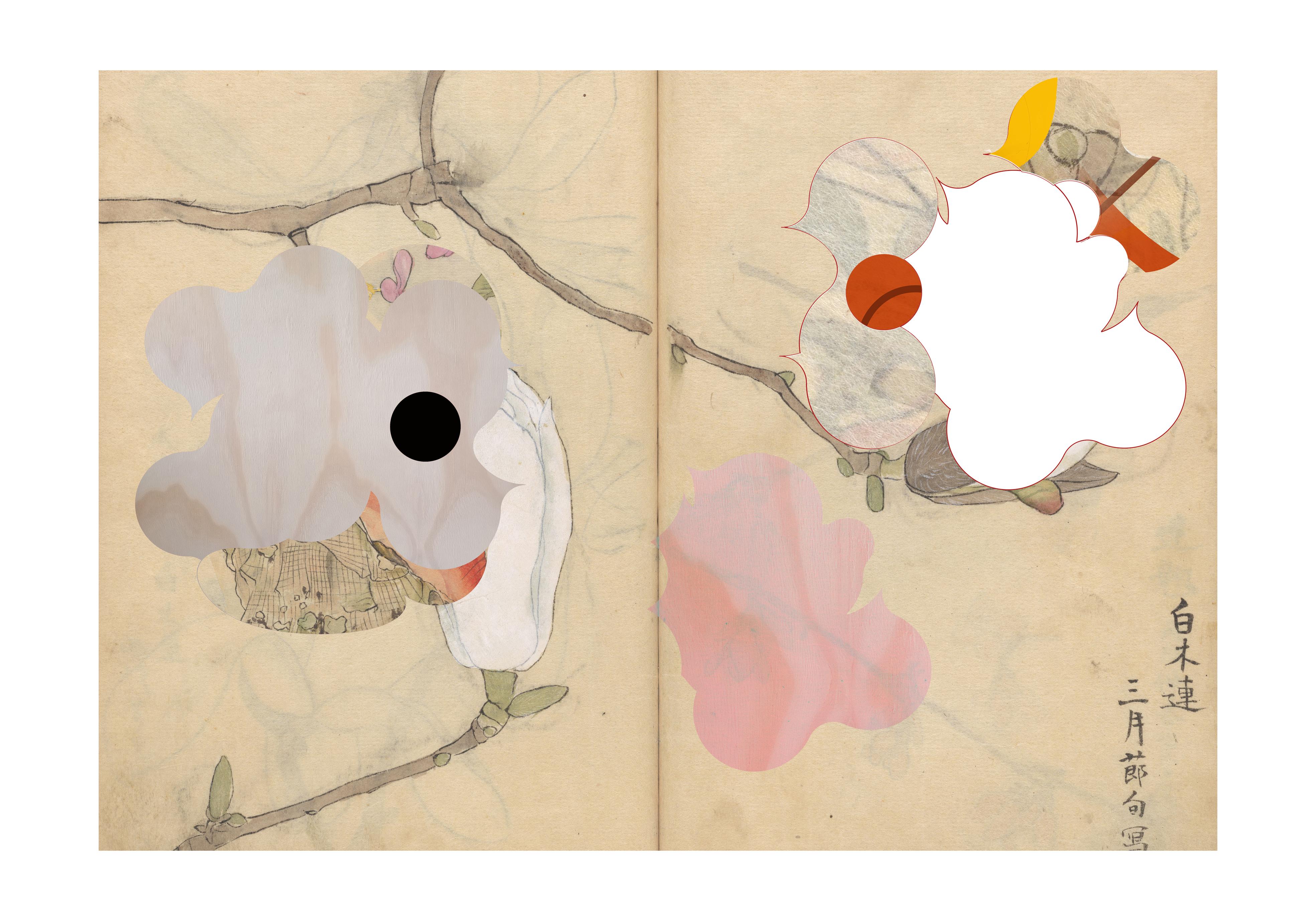 Francisco Nicolás - STCBC-Contemporary, Abstract prints, stil-life ...