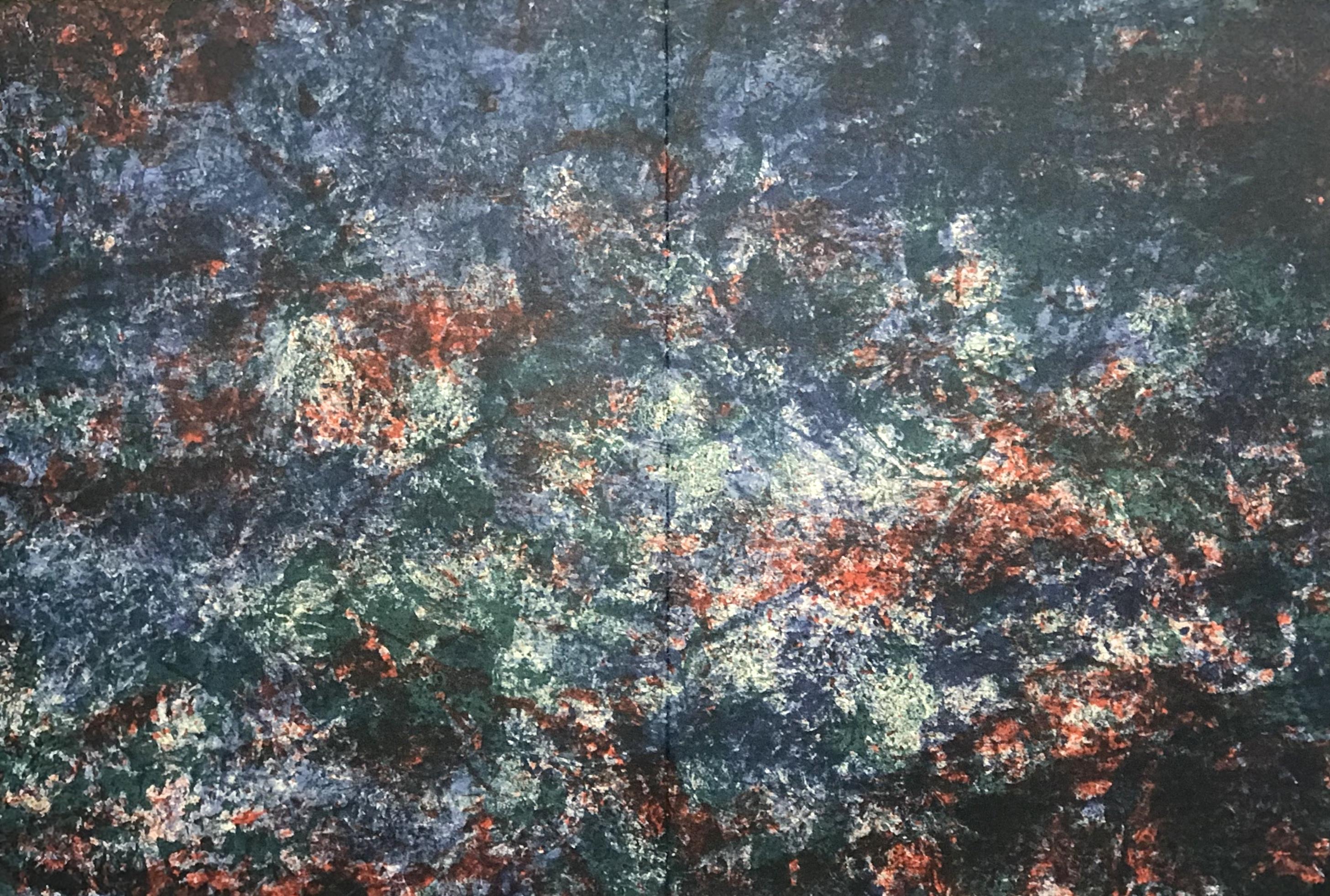 François Fiedler - original lithograph For Sale at 1stDibs