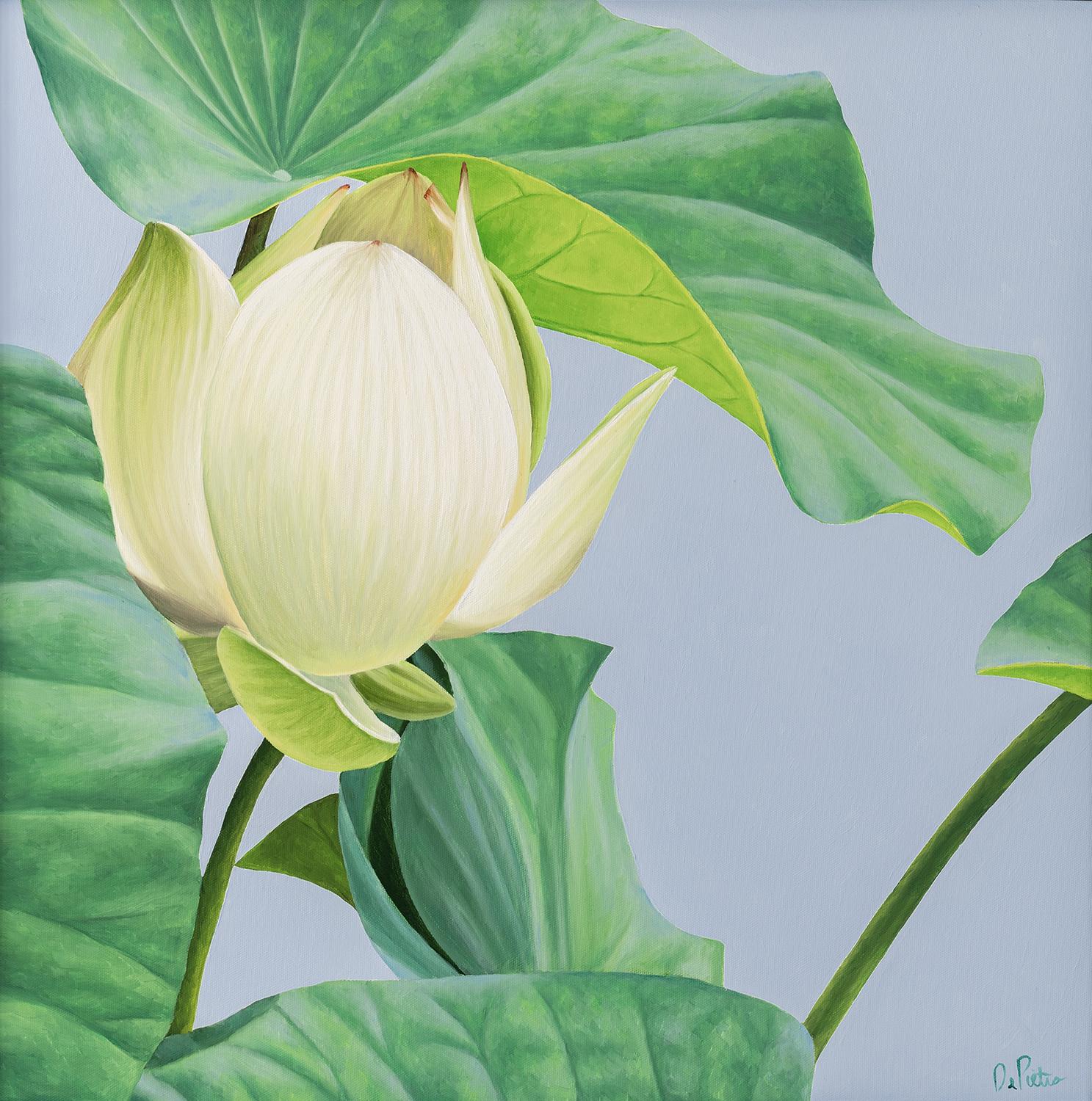 Frank DePietro - Lotus No. 7 (Hard Edge Realist Oil Painting of Lotus ...