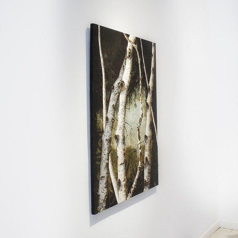 Frank Faulkner - Birches IV: Contemporary Minimalist Painting of Birch ...