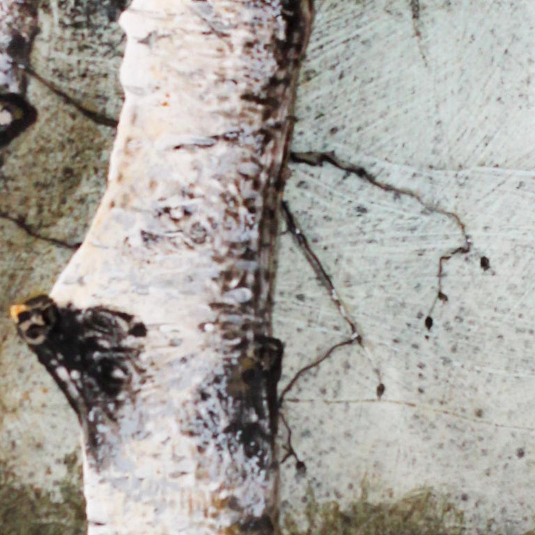 Frank Faulkner - Birches IV: Contemporary Minimalist Painting of Birch ...