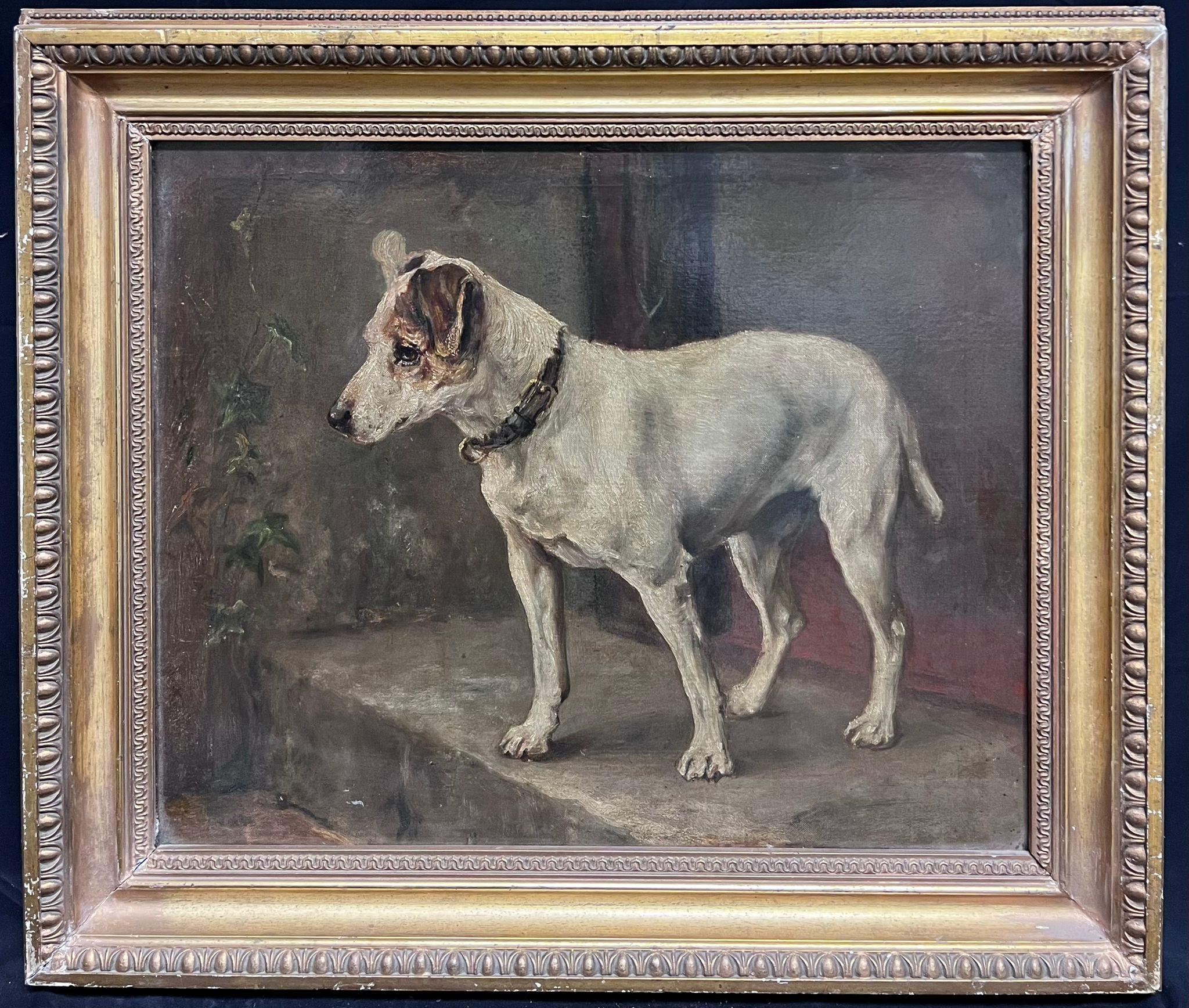 Fine Victorian Dog Painting Portrait of Jack Russell Terrier 19th c Oil ...