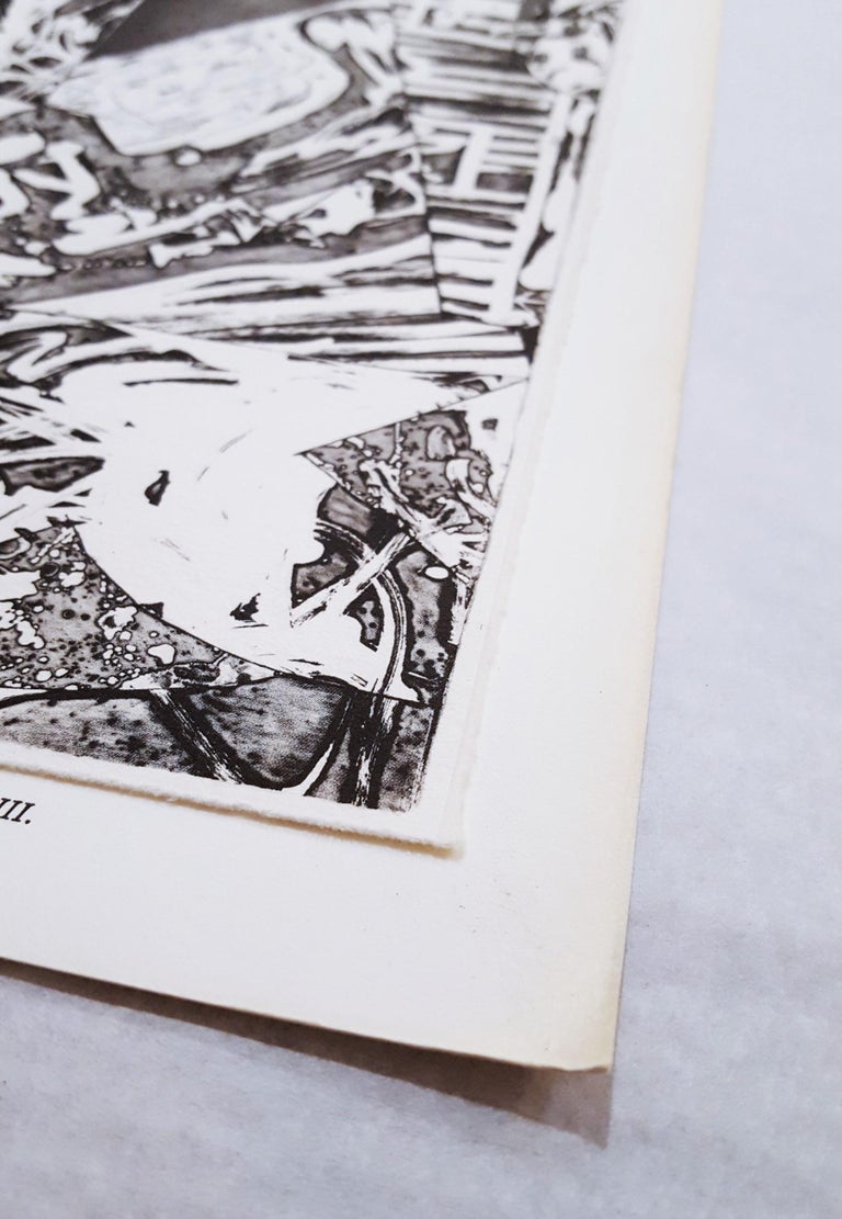 Swan Engraving III (inside Tyler Graphics Ltd. Announcement Brochure ...