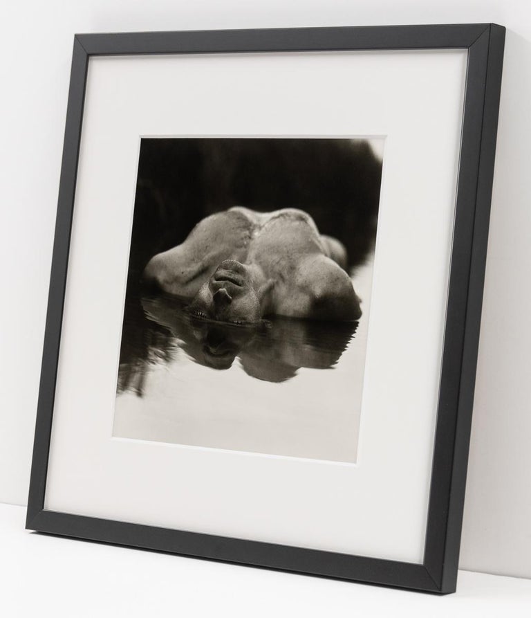 Frank Yamrus - kurt - muse For Sale at 1stDibs