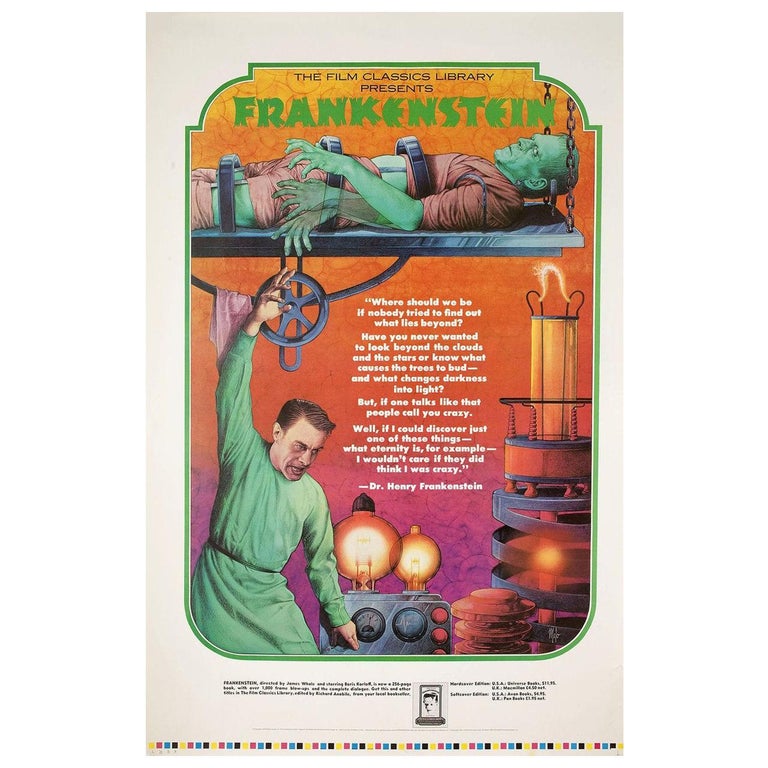 Frankenstein R1974 U.S. Book Poster at 1stDibs