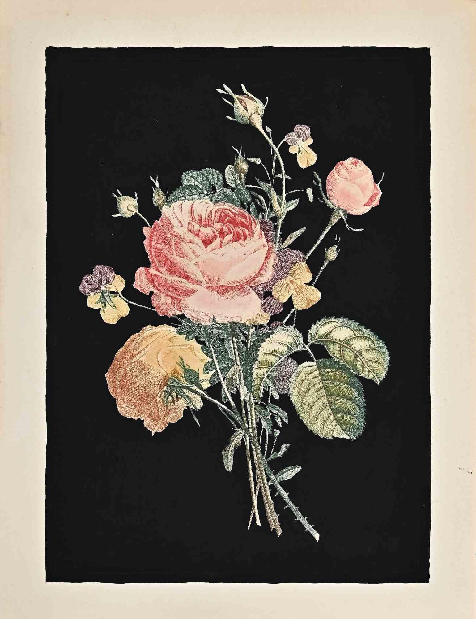 François Langlois - Hundred-Leaf Rose - Original Etching by François ...