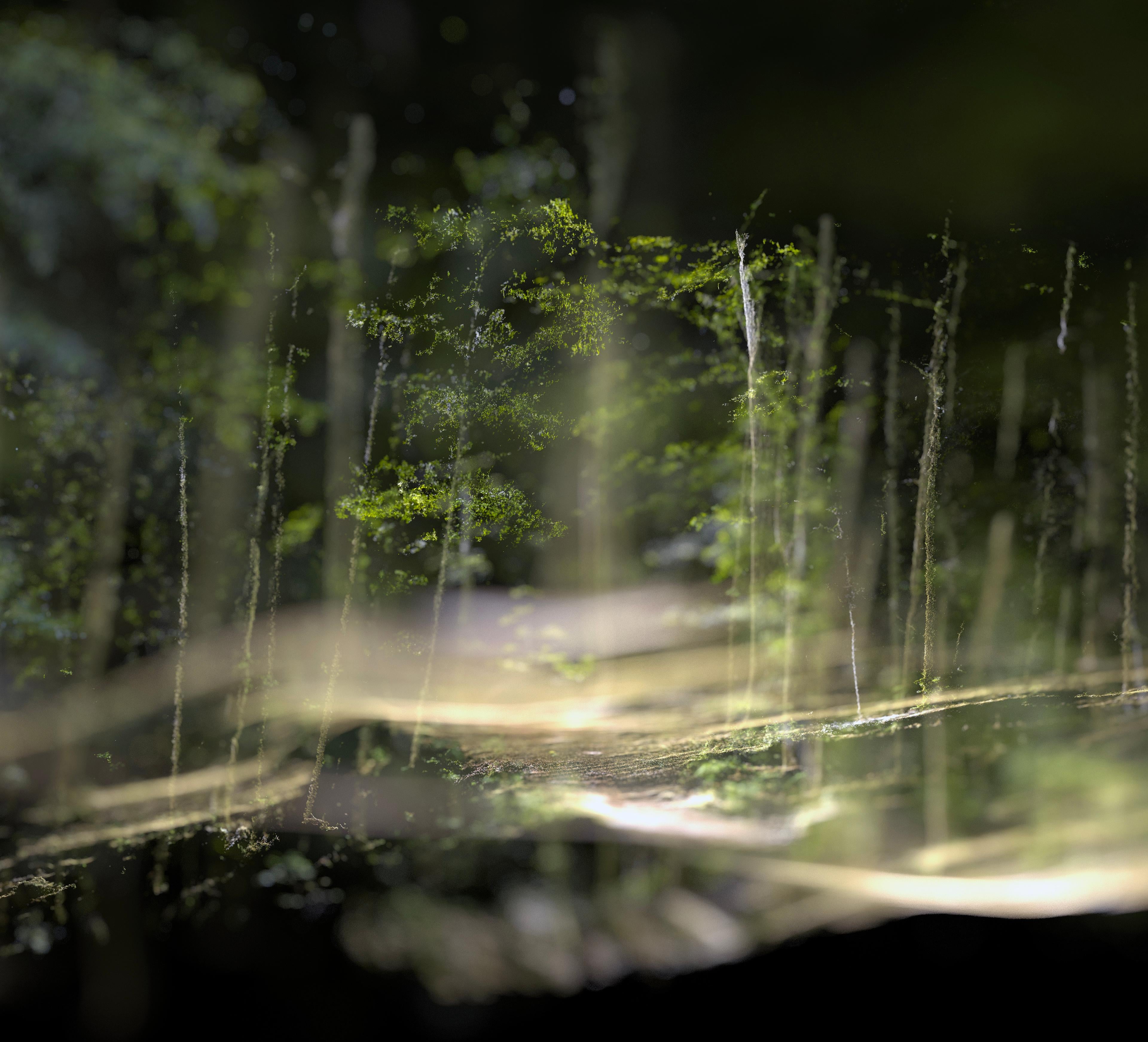 Giorgio Baroni - Reflections, Giorgio Baroni Photo on Steel and Crystal ...