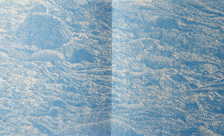 Franz Gertsch - "Vorzugsausgabe: Special Edition, Parkett No. 28", 1990 by Franz Gertsch at 1stDibs