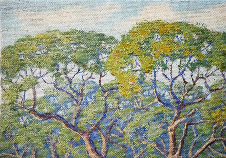 Fred Darge - “Afternoon Shadows” Goose Island State Park, TX Green ...