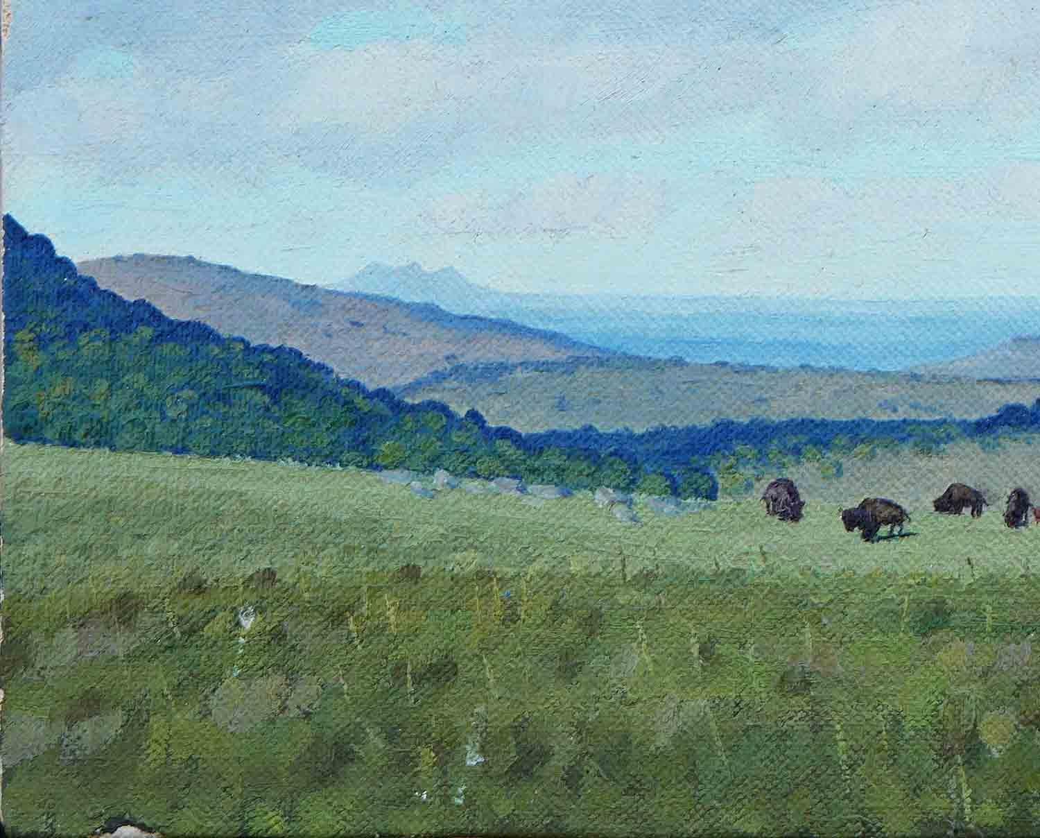 Fred Darge - "Early Morning" Wichita Mountain Wildlife Refuge, Oklahoma ...