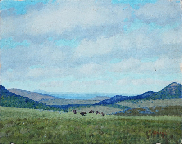 Fred Darge - "Early Morning" Wichita Mountain Wildlife Refuge, Oklahoma ...