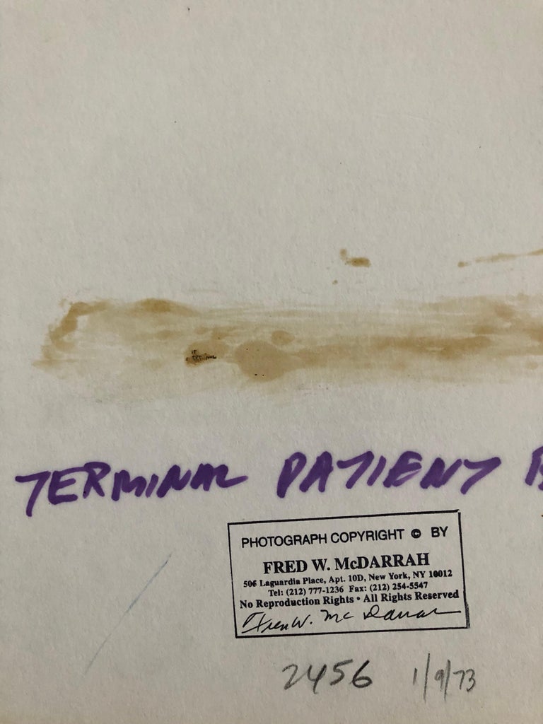 Fred McDarrah - Large Vintage Print Silver Gelatin Signed Photograph Terminal Patient Bird Cover ...