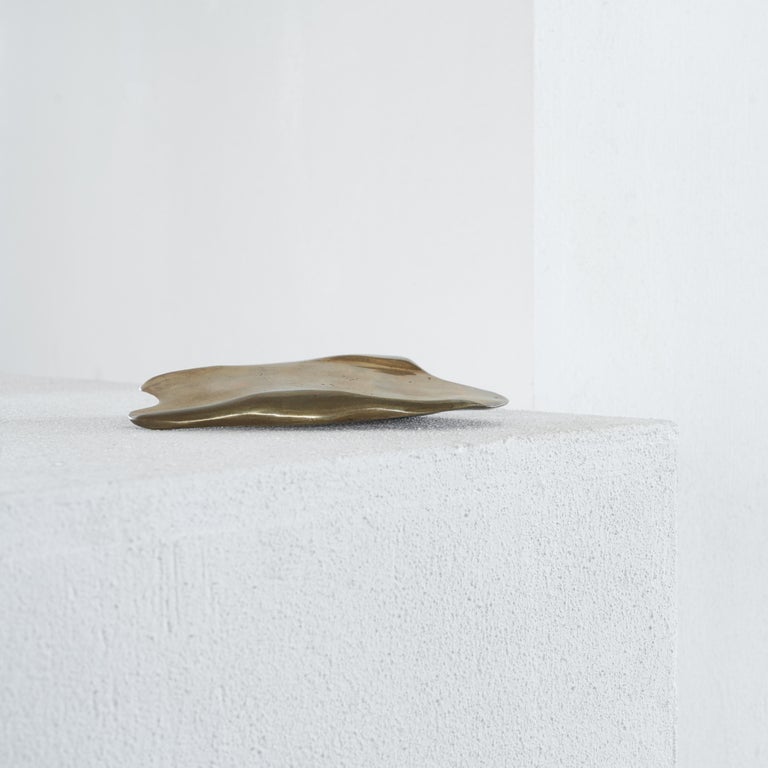 Freeform Paperweight or Sculpture in Patinated Sand Cast Brass at 1stDibs