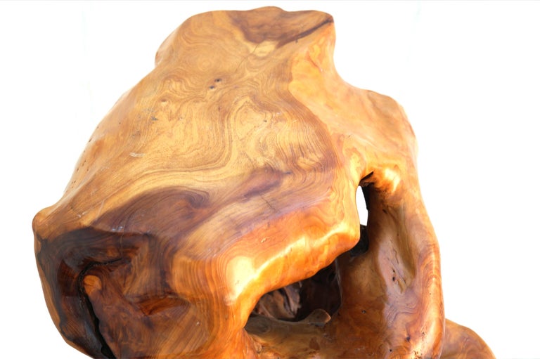 Freeform Sculptural Organic Natural Tree Root Wood Pedestal Plant Stand ...