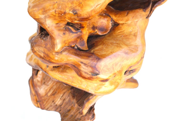 Freeform Sculptural Organic Natural Tree Root Wood Pedestal Plant Stand ...