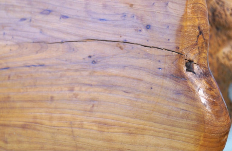 Freeform Sculptural Organic Natural Tree Root Wood Pedestal Plant Stand ...