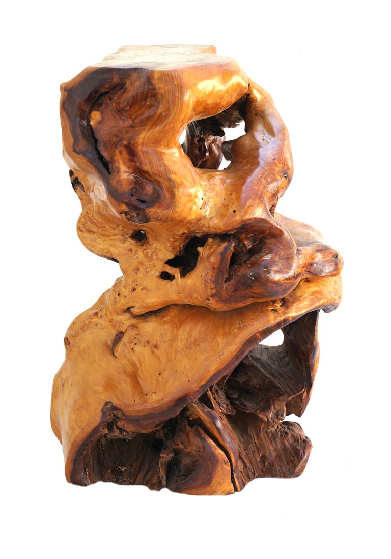 Freeform Sculptural Organic Natural Tree Root Wood Pedestal Plant Stand ...