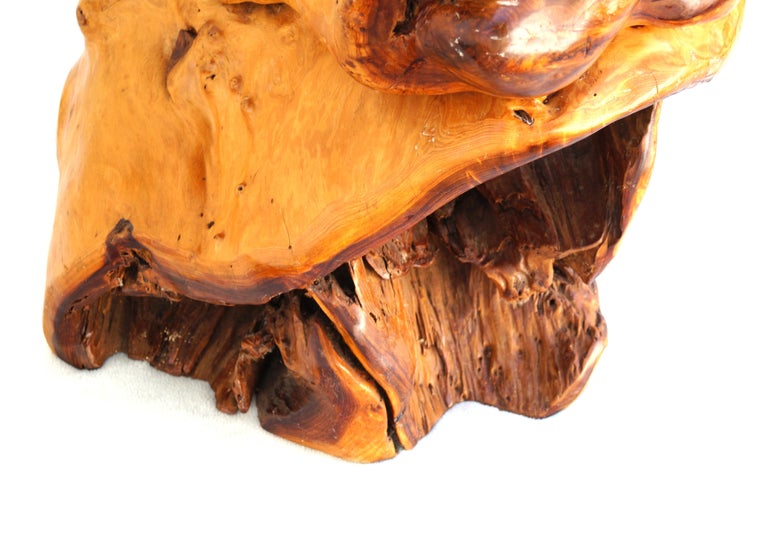 Freeform Sculptural Organic Natural Tree Root Wood Pedestal Plant Stand ...