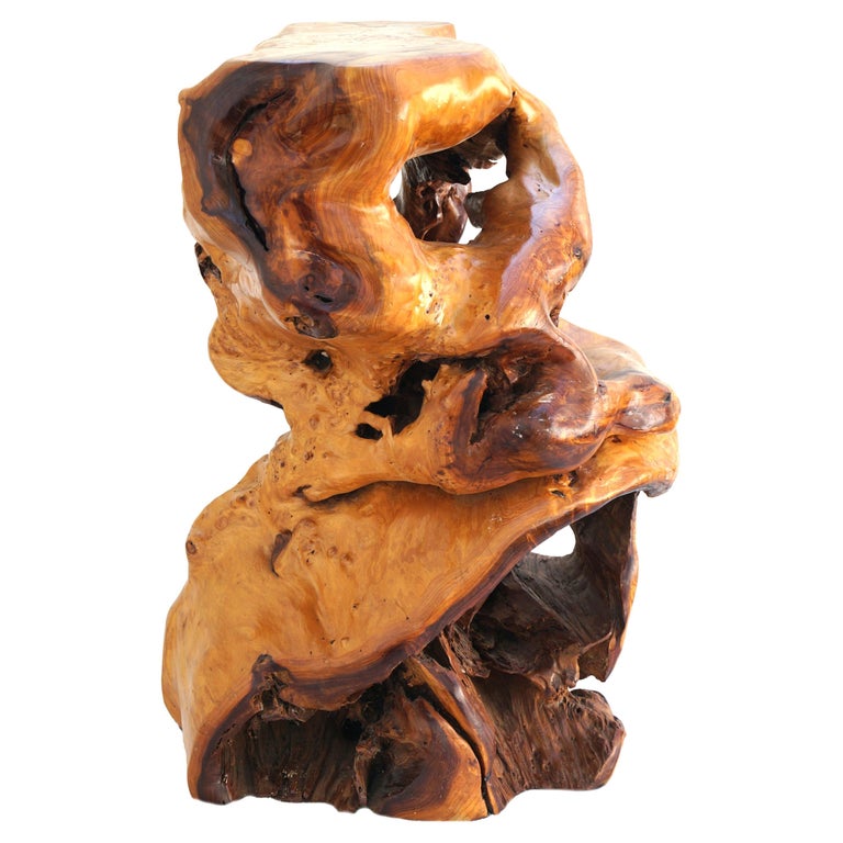 Freeform Sculptural Organic Natural Tree Root Wood Pedestal Plant Stand ...