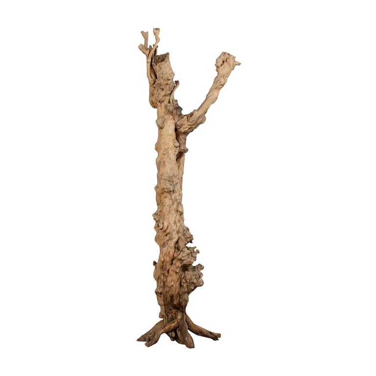 Freeform Tree Sculture For Sale at 1stDibs