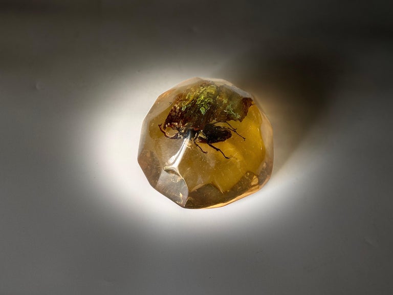 French, 1970s, Lucite Resin Cube Sculpture with beetles For Sale at 1stDibs