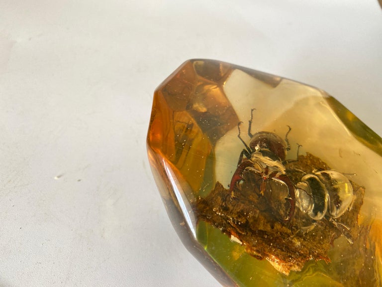 French, 1970s, Lucite Resin Cube Sculpture with beetles For Sale at 1stDibs